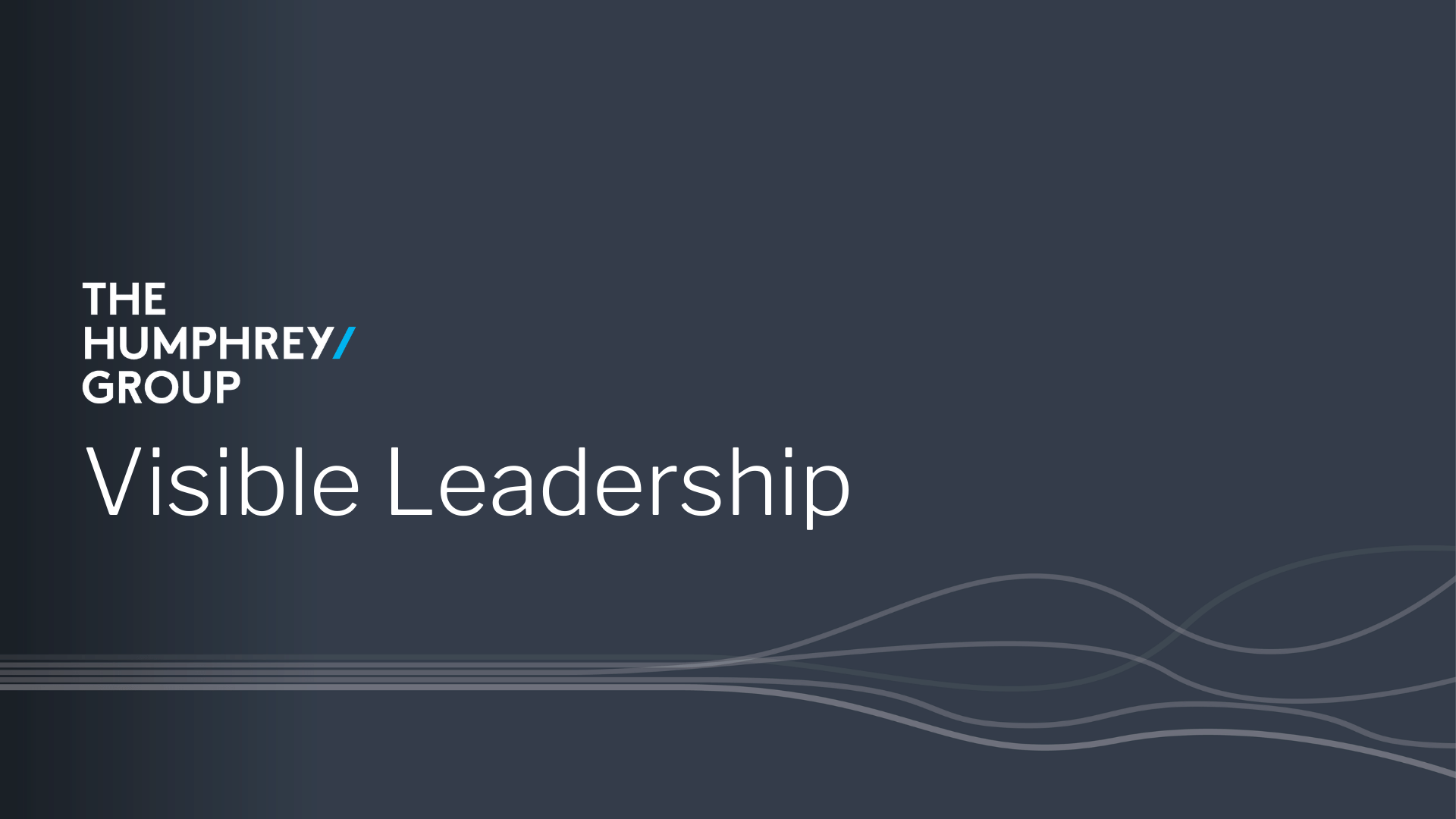 Visible Leadership - Leadership Development Program for Minority Leaders